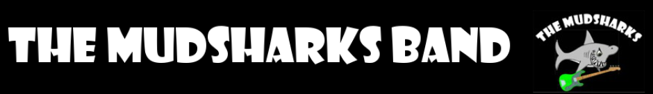 The Mudsharks – New Jersey Party Band
